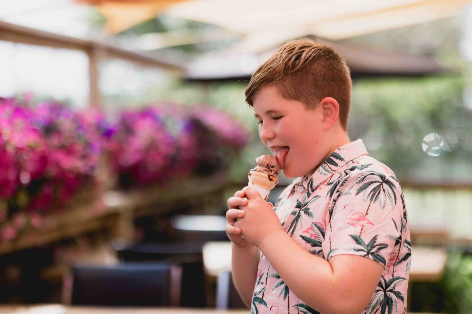 The Scoop on the Best Ice Cream in Kitchener-Waterloo ...